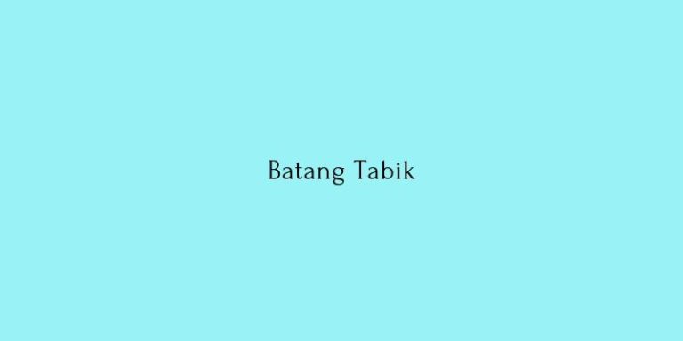 √ Batang Tabik: Wisata Pemandian Air Alami di Sumatera Barat